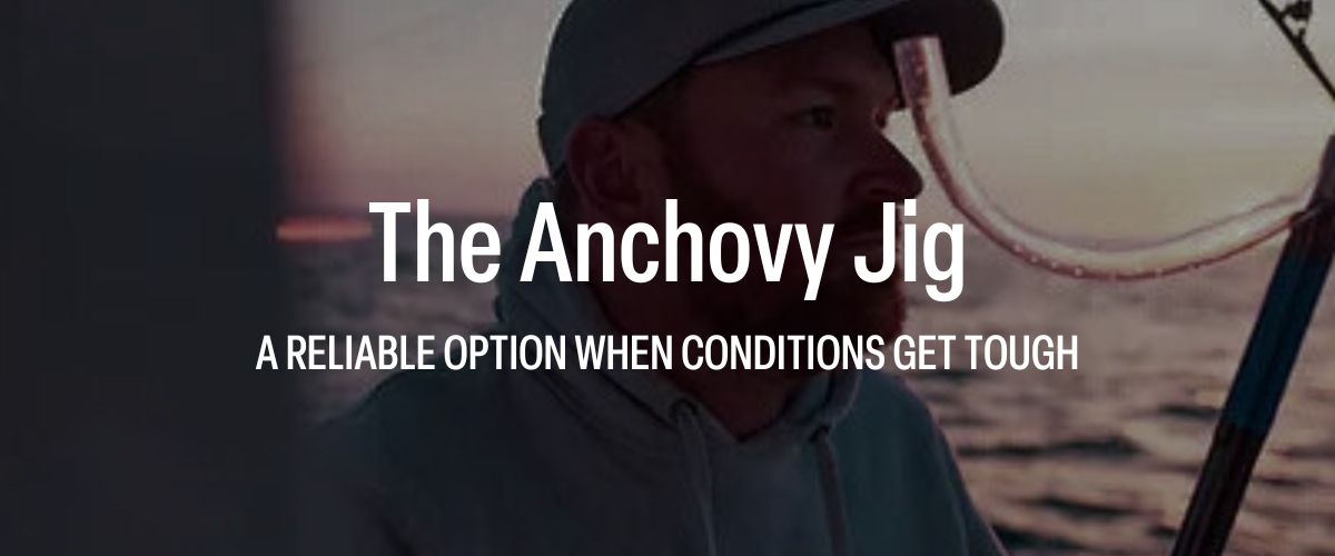 Anchovy Jig Breakdown: When and Why It Outperforms – UVTFishing